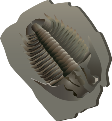 Download Ian Symbol Fossil Trilobite - Fossil Trilobite PNG Image with ...