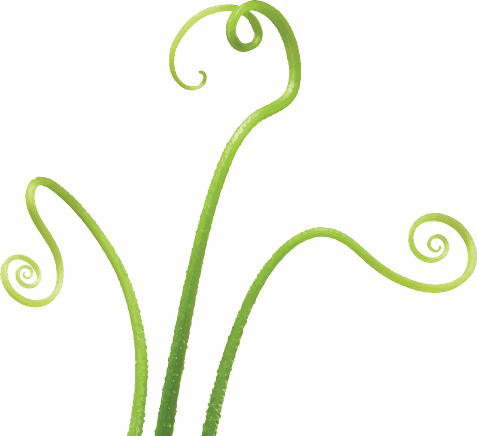 Download Logo - Bean Sprout Png PNG Image with No Background - PNGkey.com