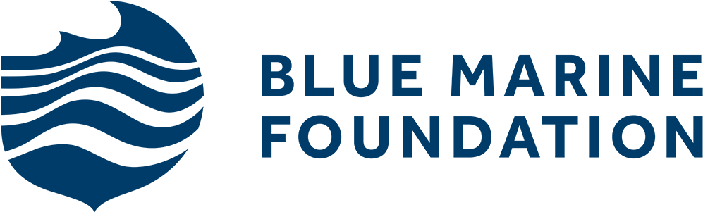 Download Blue Marine Foundation Colour - Football Federation Australia ...