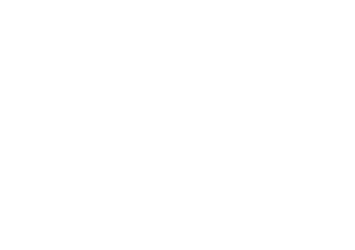 Phoenix Transaction Advisory Services - Phoenix - Free Transparent PNG ...