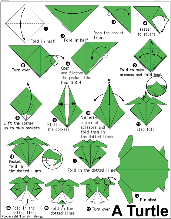 Download Turtle - Easy Origami Instructions Printable PNG Image with No ...