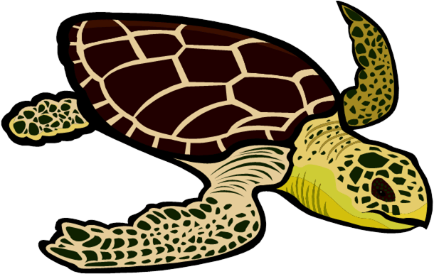 Cute Sea Turtle Clip Art - Green Sea Turtle Clipart - Free Transparent ...