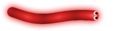 Slither - Io Skins - Slither Io Skin Png - Free Transparent PNG ...