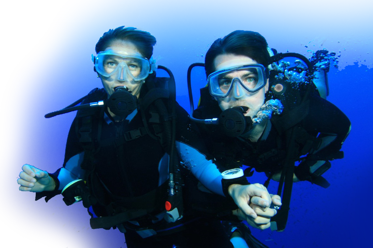 Download Dive In Sa - Membrane Drysuit Scubadiving Transparent PNG ...