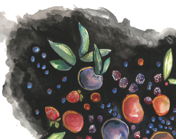 Dark Fruit - Fruit - Free Transparent PNG Download - PNGkey