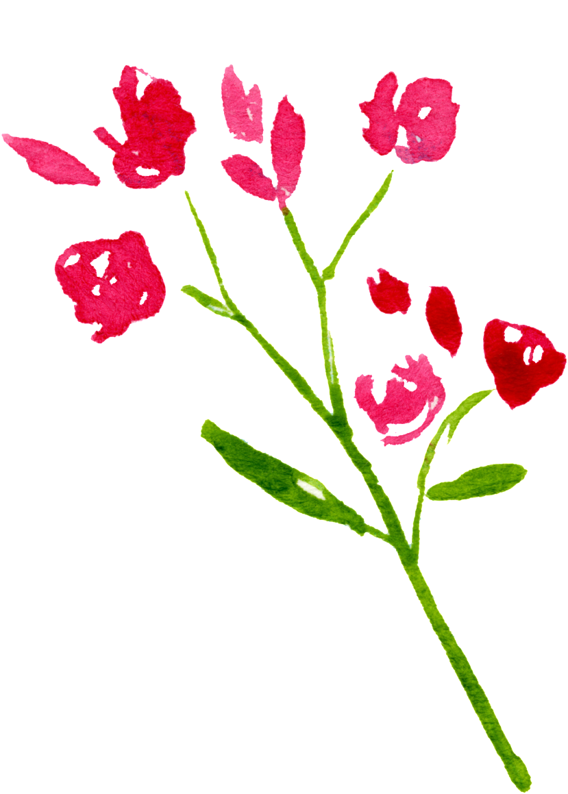 Download Red Flower Leaf Cartoon Transparent - Color PNG Image with No ...