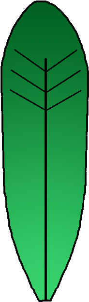 Download Turkey Feather Clipart - Clip Art PNG Image with No Background ...