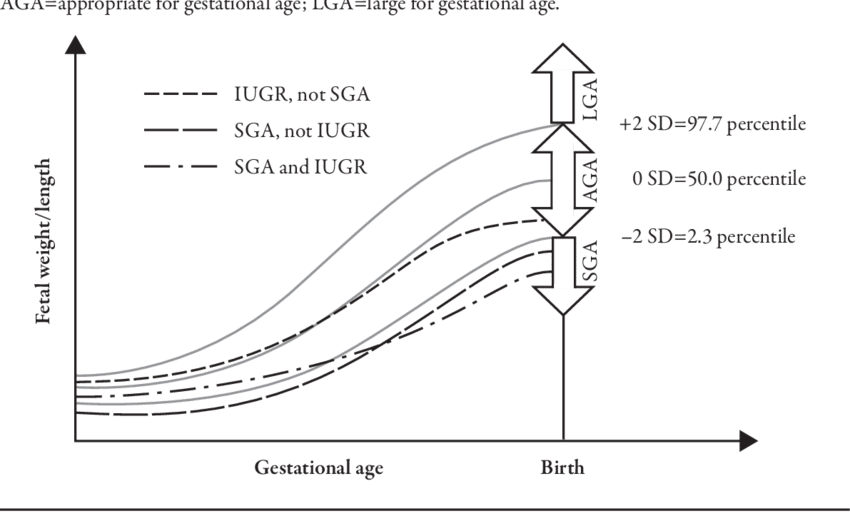 Download Prenatal Growth Chart Demonstrating Development Of - Sga Vs Iugr PNG Image with No ...