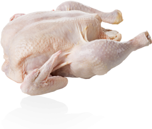 Download Kampung Chicken Whole PNG Image with No Background - PNGkey.com