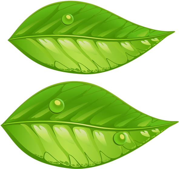Download Green Leaves Png Transparent Clip Art Image - Green Leaves ...