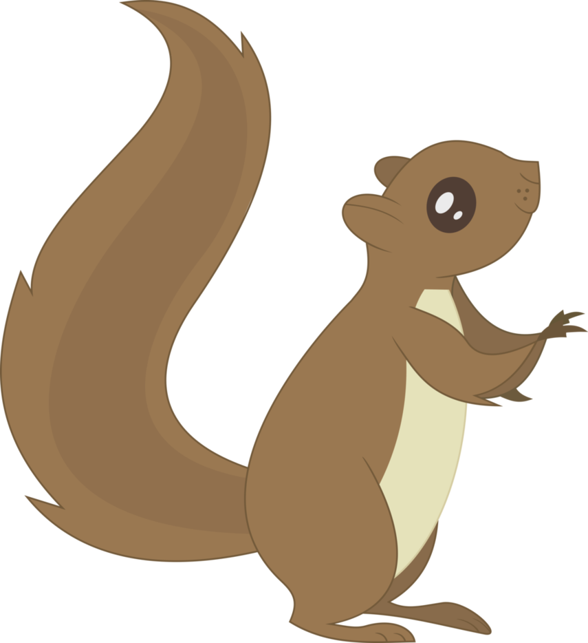 Download Squirrel Vector - Tree Squirrel PNG Image with No Background ...