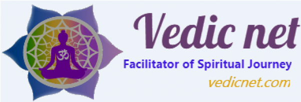 Wowcher - Free Transparent PNG Download - PNGkey