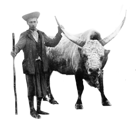 Download Backstory PNG Image with No Background - PNGkey.com