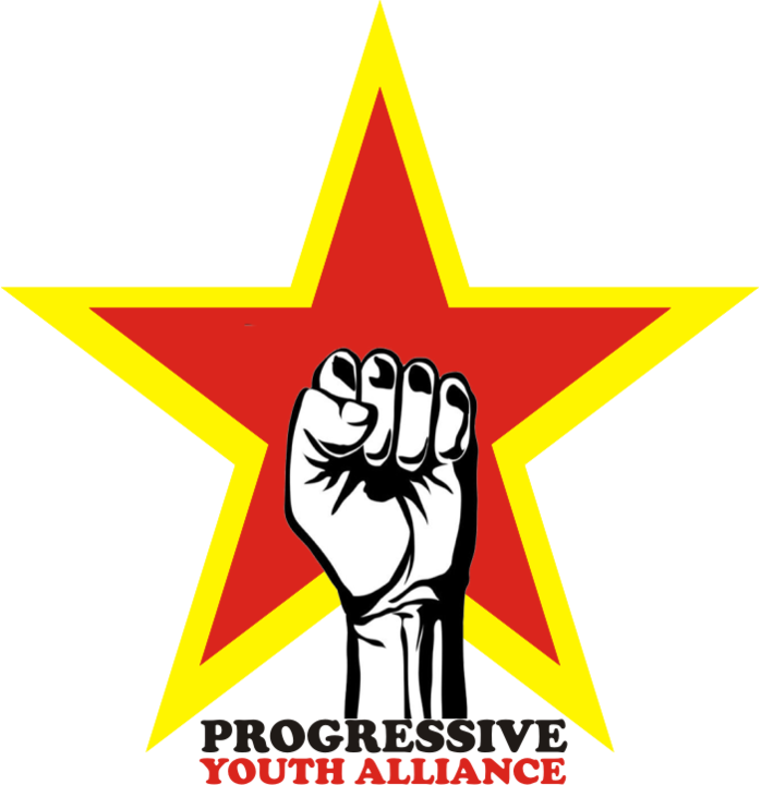 Download Pya Logo Yellow Border - Progressive Youth Alliance PNG Image ...