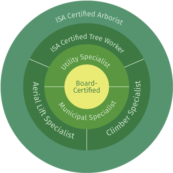 Download Career Path - Circle PNG Image with No Background - PNGkey.com