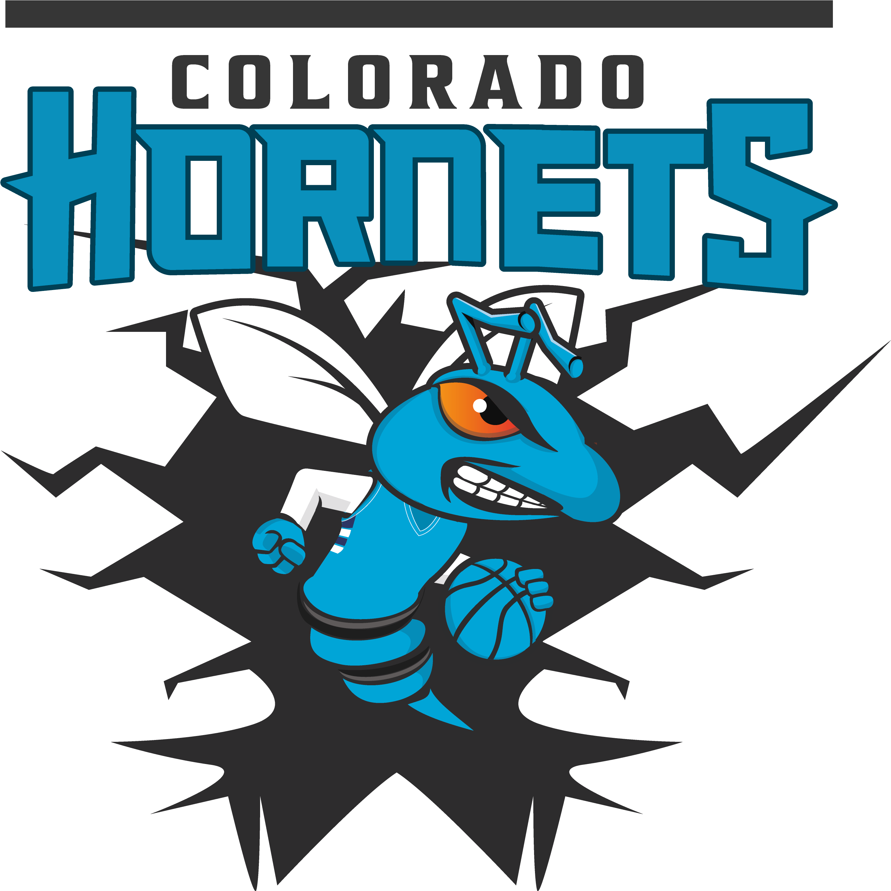 Download Colorado Hornets Athletics Youth Organization - Colorado ...
