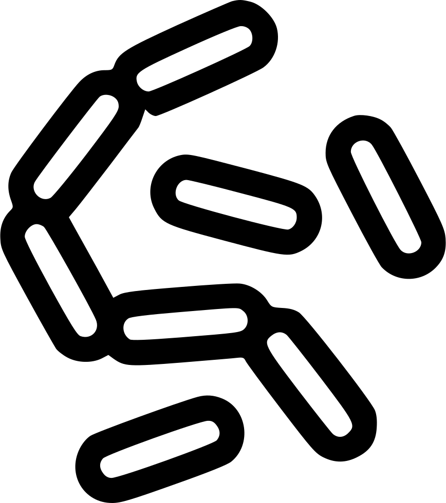 Download Png File - Microbe Icon PNG Image with No Background - PNGkey.com