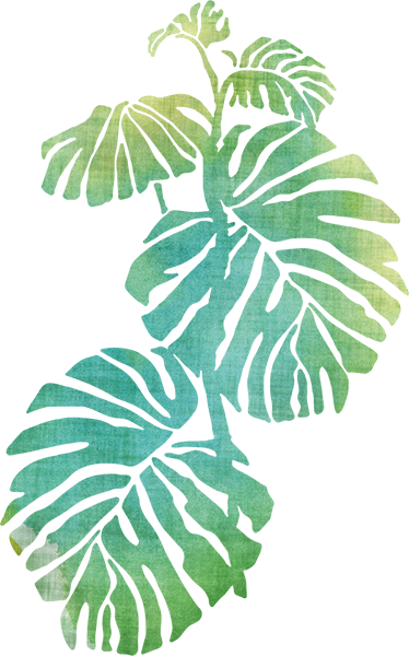 Download Vinilo Decorativo Costilla De Adán Acuarela - Hojas De ...