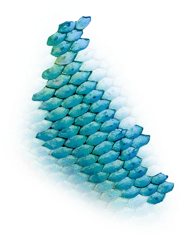 Fish Scales Png - Bead - Free Transparent PNG Download - PNGkey