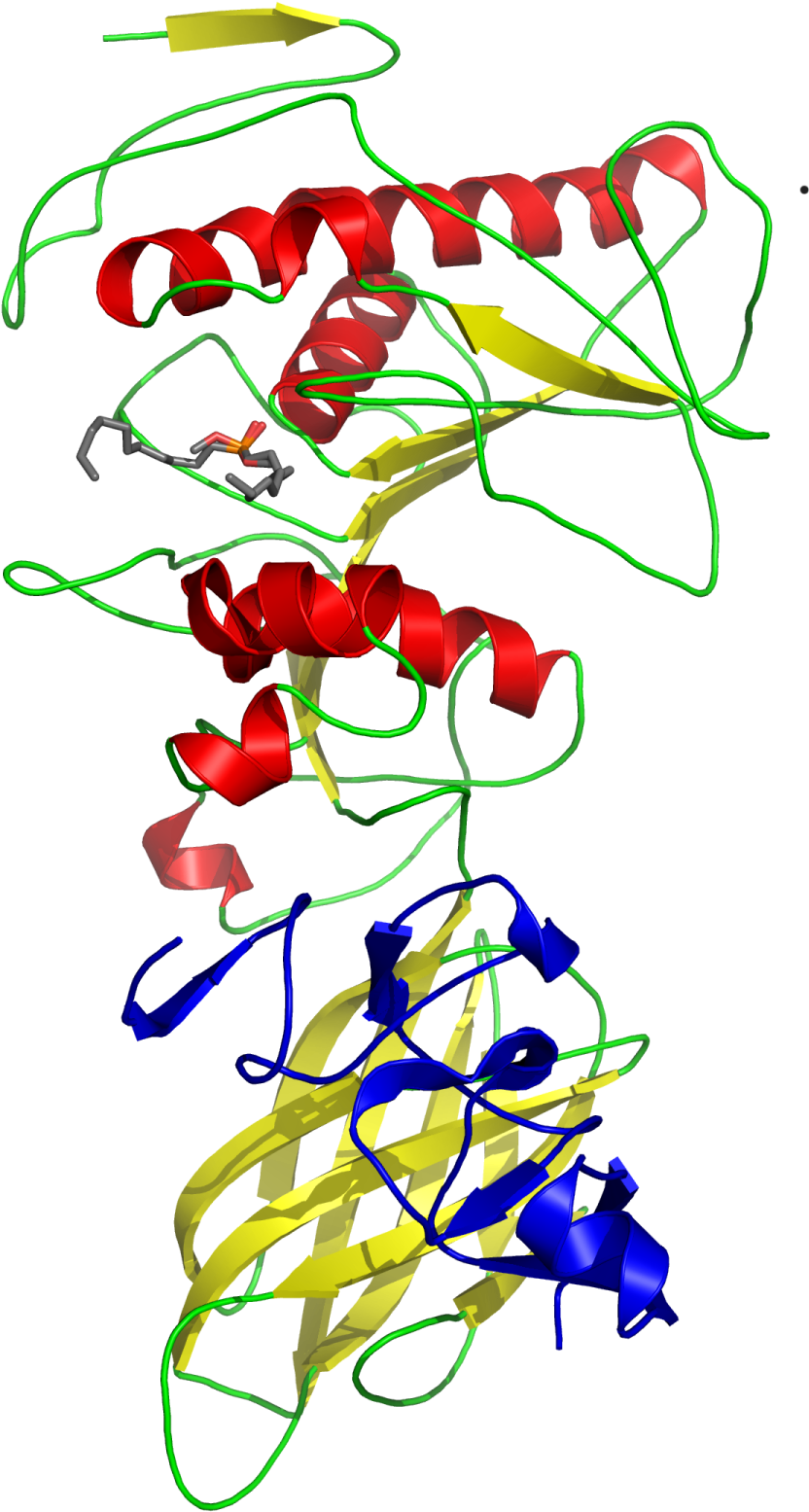 Download Pancreatic Lipase PNG Image with No Background - PNGkey.com