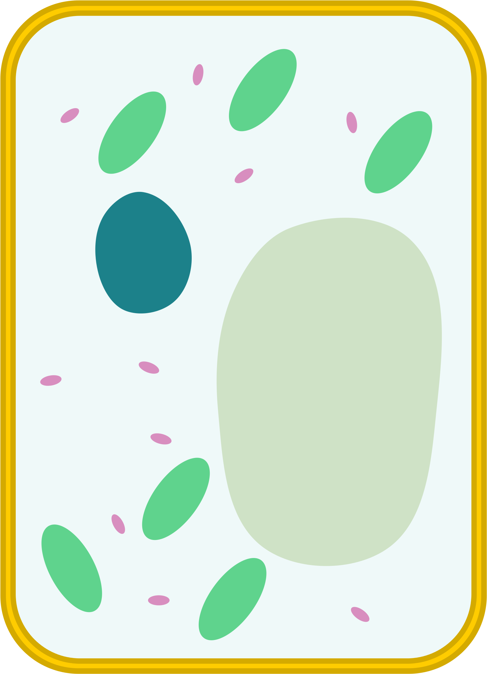 Template Simple Diagram Blank Animal Cell - Simple Blank Plant Cell ...
