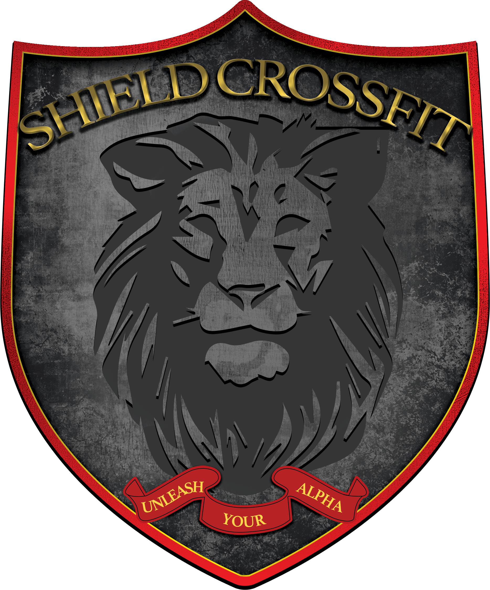 Download Shield Crossfit PNG Image with No Background - PNGkey.com