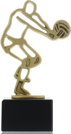 Download Outline Figure Volleyball Player 16,5cm Gold-coloured ...