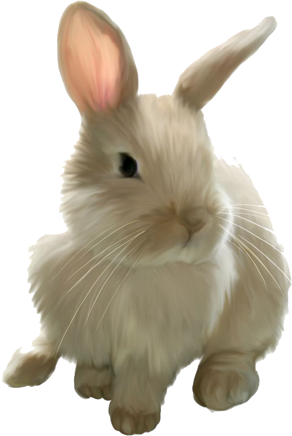 Download Easter Rabbit Png Image - Baby Bunny Transparent Background ...