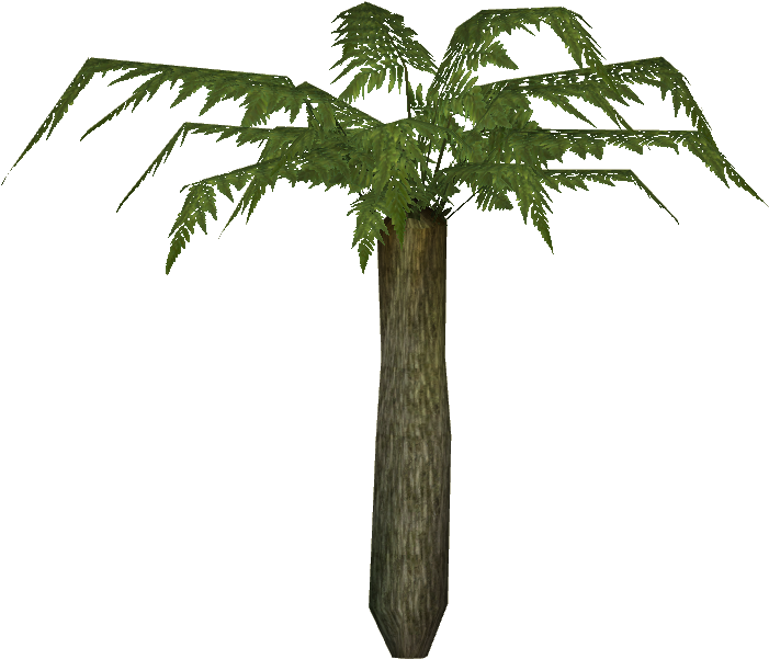 Download Small Tree Fern - Искусственные Пальмы PNG Image with No ...