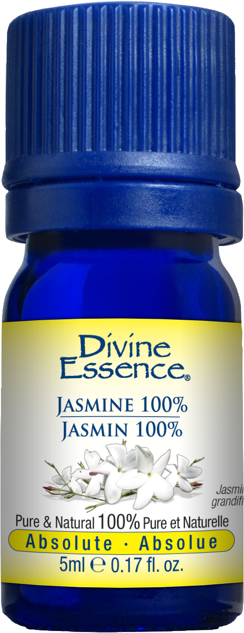 Download Share - Divine Essence Everlasting (immortelle) PNG Image with ...