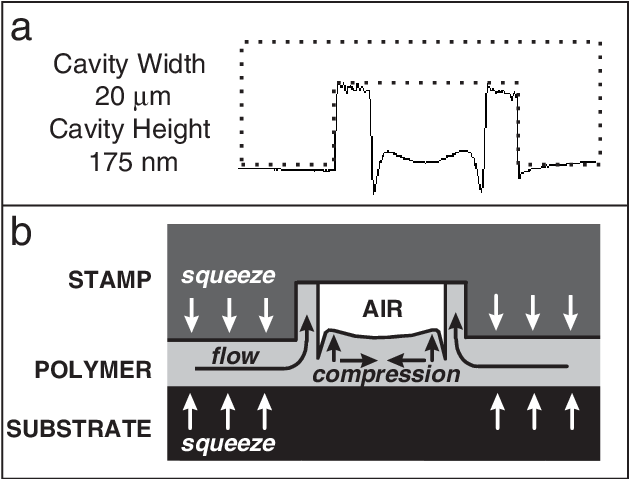 Afm Height Profile For A Partially Filled Rectangular - Diagram - Free ...