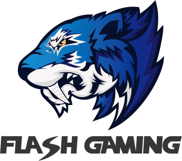 Download Flash Gaming - Flash Gaming Logo PNG Image with No Background ...