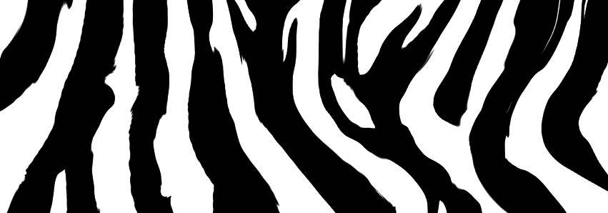 Download Zebra Print Png Picture - Animal Print 15" Laptop Sleeve PNG ...