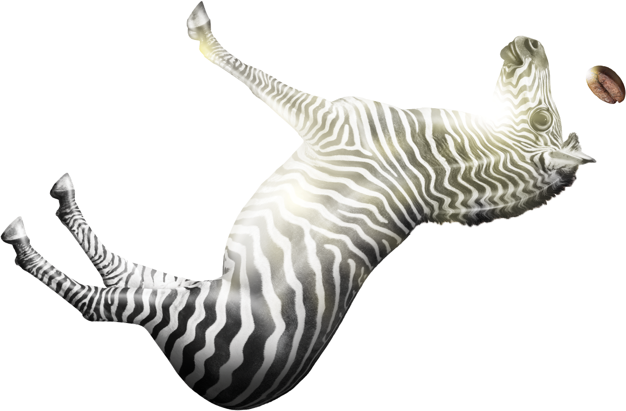 Download Roasted Zebra - Marine Mammal PNG Image with No Background ...