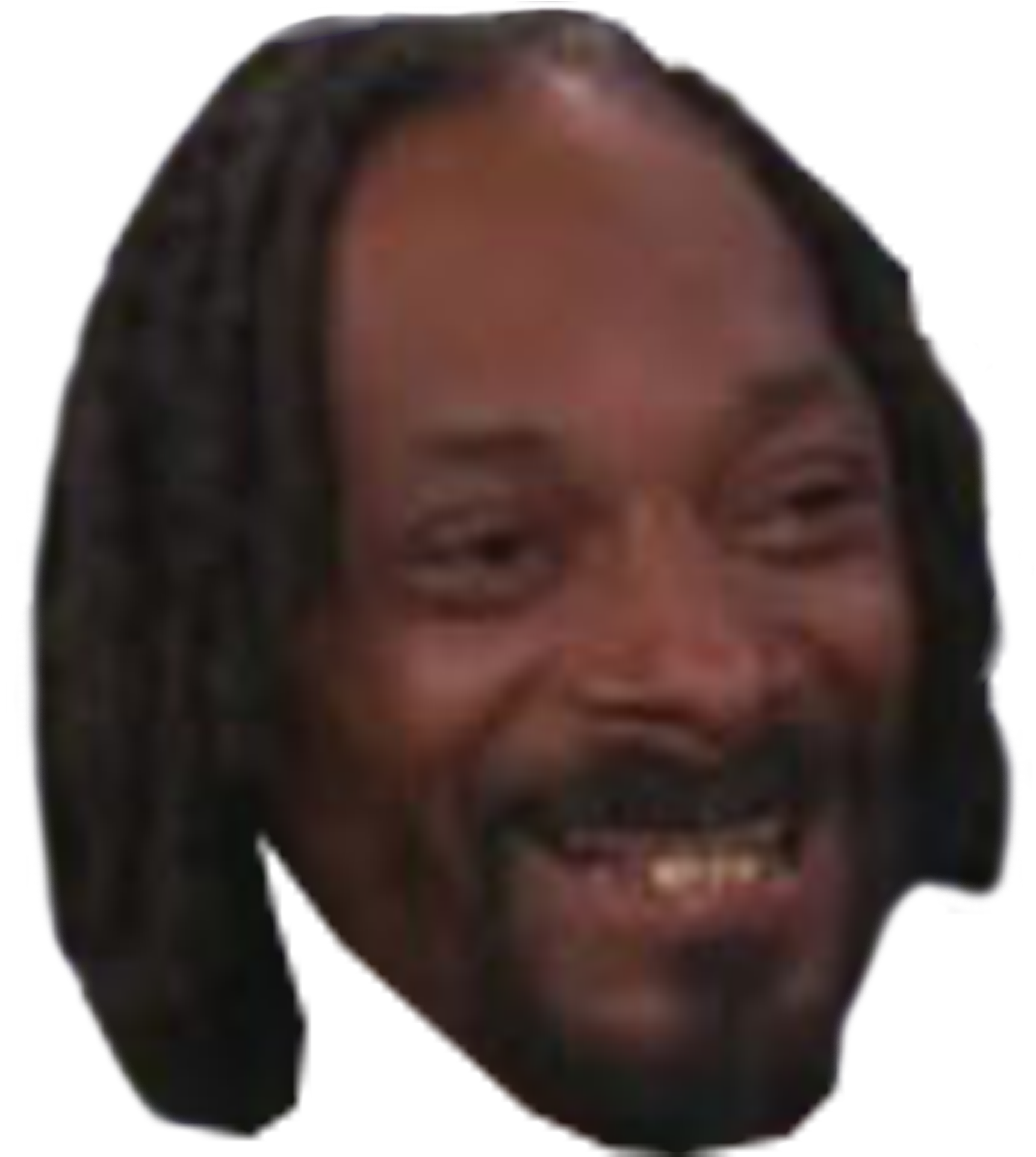 Download You Done Been Snoopd Imgur Png Snoop Dogg Transparent - Child ...