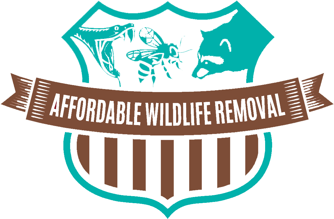 Download Awr Awr Awr Awr - Logo PNG Image with No Background - PNGkey.com