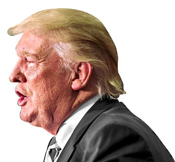 Trump - Donald Trump Fondo Blanco - Free Transparent PNG Download - PNGkey