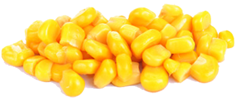 Corn Kernel Png Graphic - Corn Kernels Png - Free Transparent PNG ...