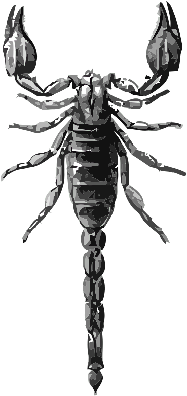 Diplocenthus Keiserlingi - Animated Scorpion - Free Transparent PNG ...