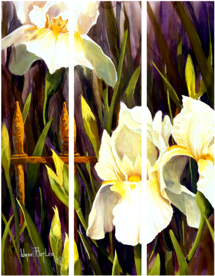 Download White Iris Triptych - Art PNG Image with No Background - PNGkey.com