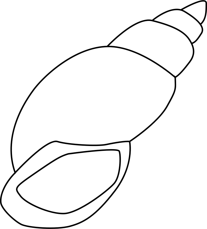 Download Shell Clipart Black And White - Shell Clip Art Black And White ...