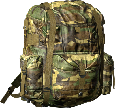 Download Alice Backpack Dayz PNG Image with No Background - PNGkey.com