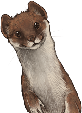 Leastweaselday - Weasel Transparent Background - Free Transparent PNG ...