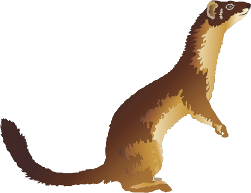 Download Weasel Clip Art - Clip Art PNG Image with No Background ...