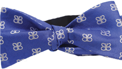 Download Brody Bow Tie - Indiana PNG Image with No Background - PNGkey.com