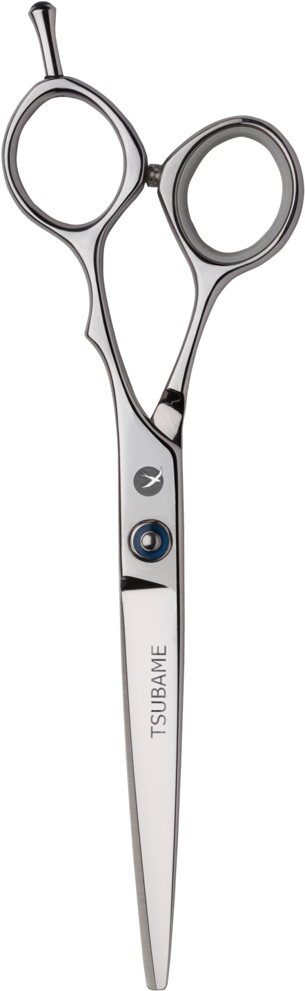 Download Take PNG Image with No Background - PNGkey.com