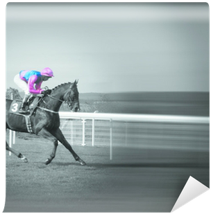 Download Stallion PNG Image with No Background - PNGkey.com