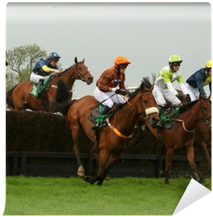 Download Horse Racing PNG Image with No Background - PNGkey.com
