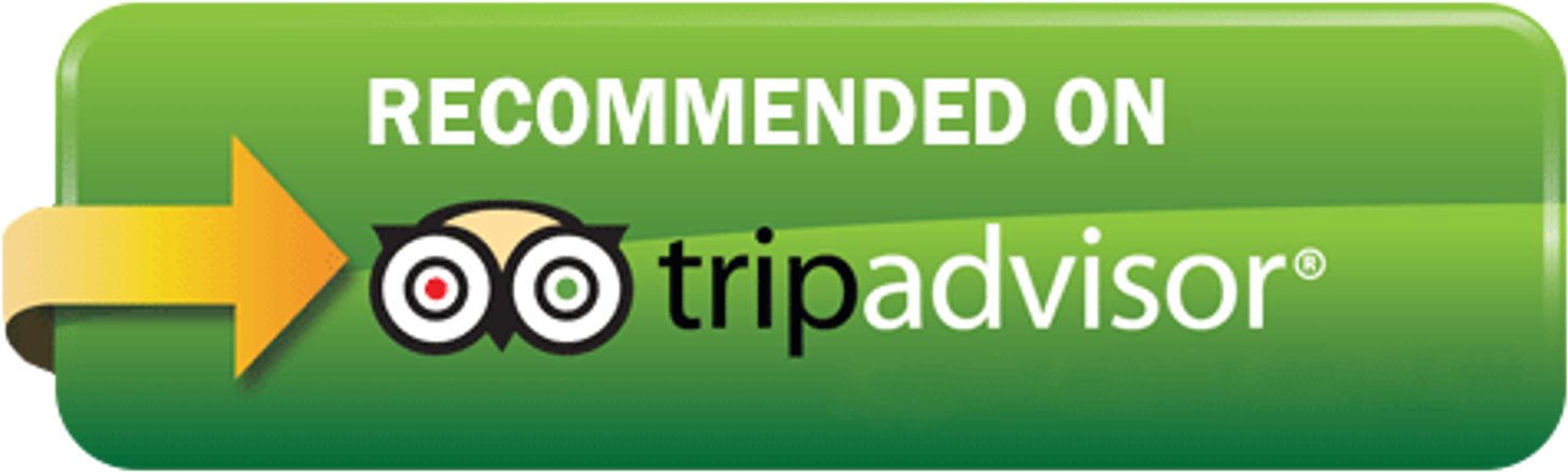 Download Tripadvisor-logo - Rate Us On Tripadvisor PNG Image with No ...