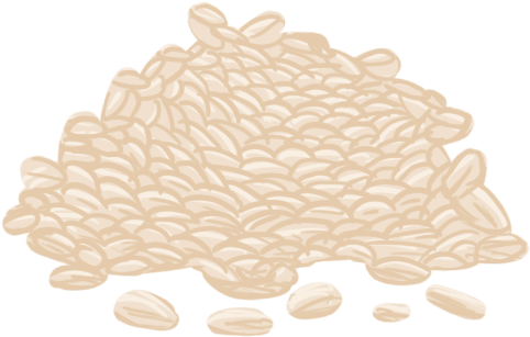 Download Oats - Wiki PNG Image with No Background - PNGkey.com